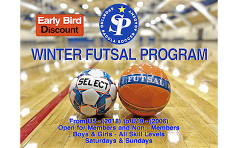 Home [www.spsocceracademy.com]